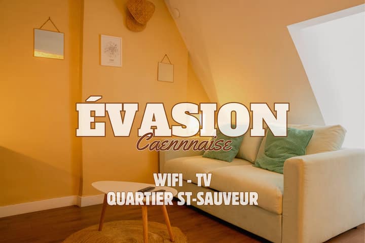 Caen : Petit Cocon Hyper Bien Placé - Caen