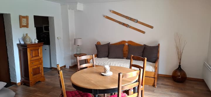 Le Skieur. Appartement Dans Chalet. - Aillon-le-Jeune
