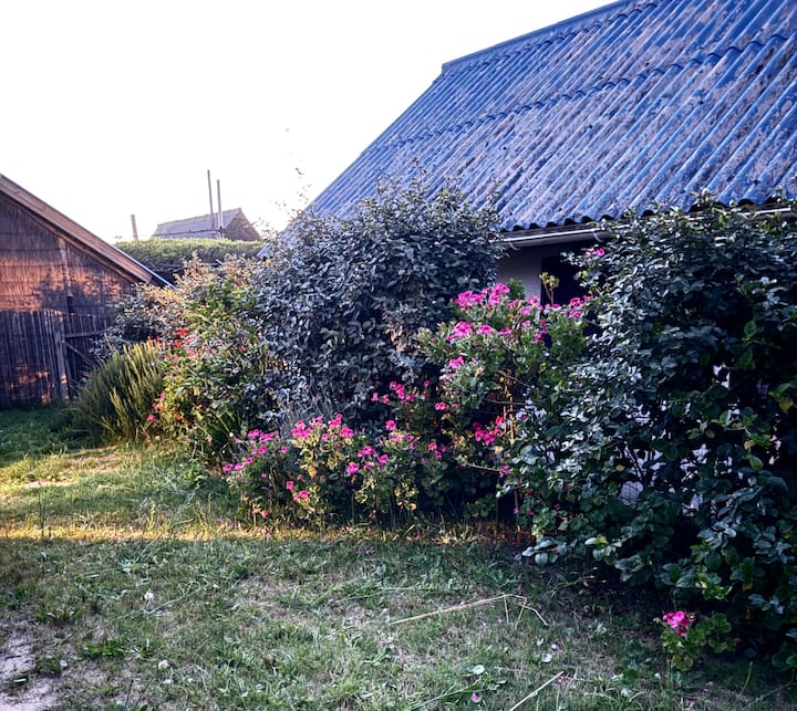 Rancho”buena Vida”’el Lugar Enaguas Dulces Uruguay - Aguas Dulces