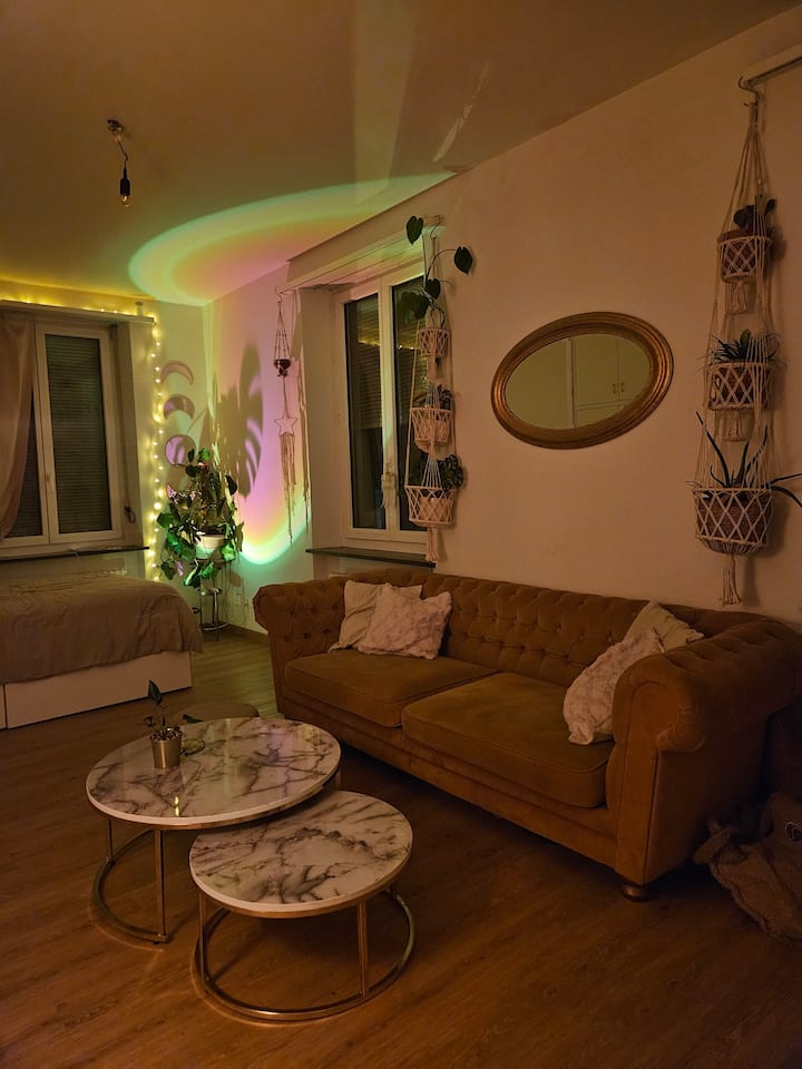 Lovely & Cozy Appartement In The Center Of Zürich. - Zürich