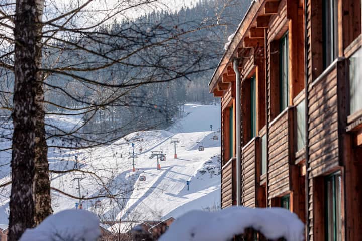 Apartment For Up To 5 People - Murau