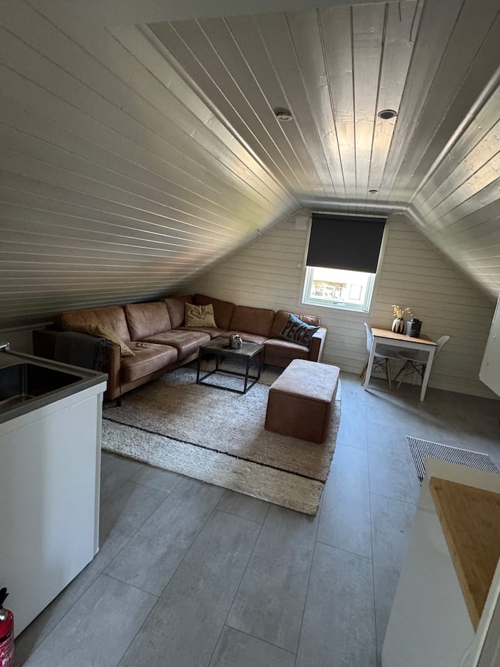 Frittliggende Leilighet , Sentralt.  Wifi. - Askim