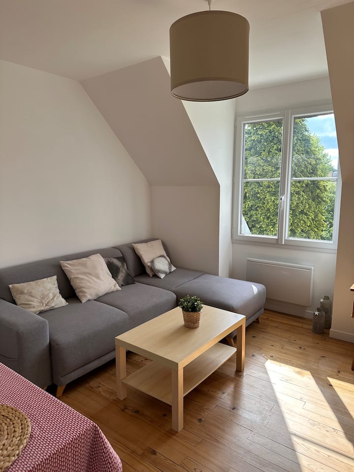 Appartement Au Coeur Du Centre Ville De Falaise - Falaise