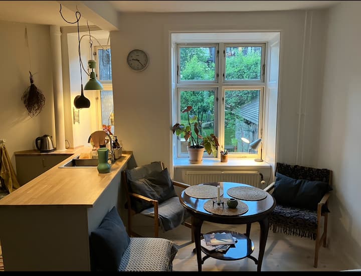 Scandinavian Atmosphere In The City - Copenhagen