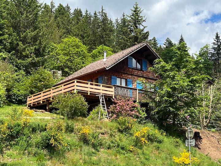 Chalet L'envolée Bleue,calme, Lac à Pied Classé 3* - Xonrupt-Longemer