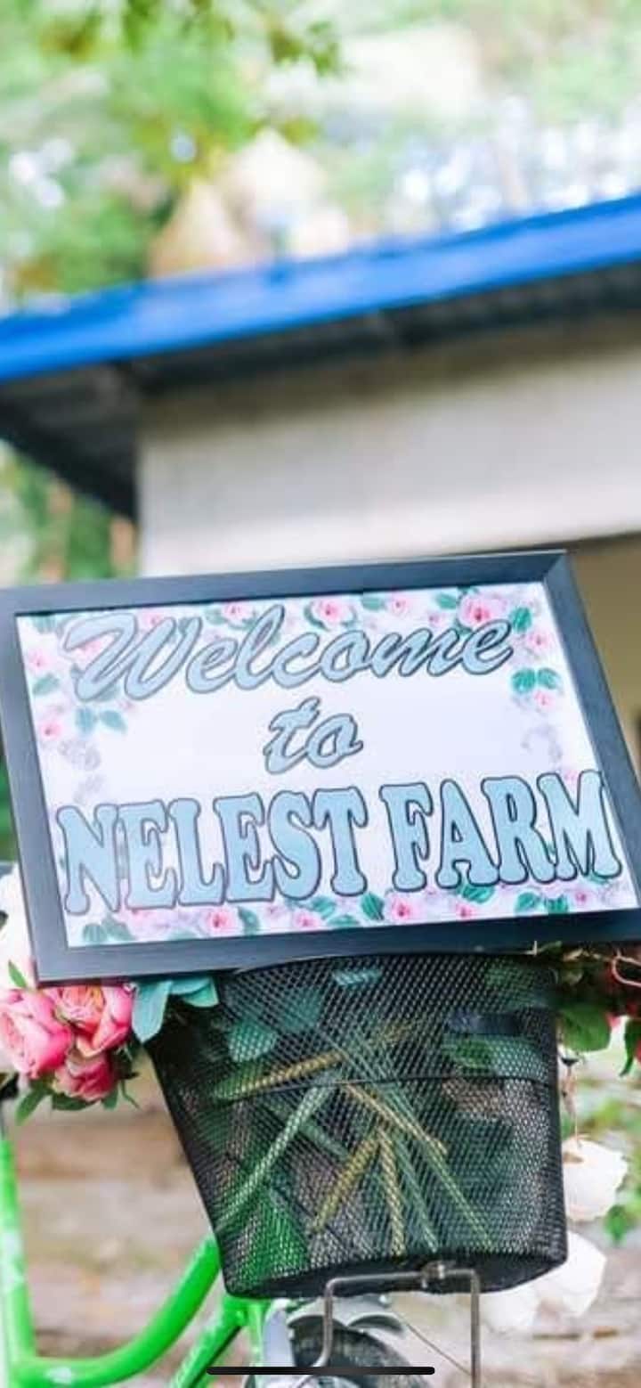 Ne Lest Farm - Philippines