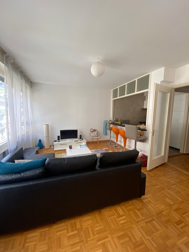 Genève: Confortable Appartement 2,5 Pieces - Geneva