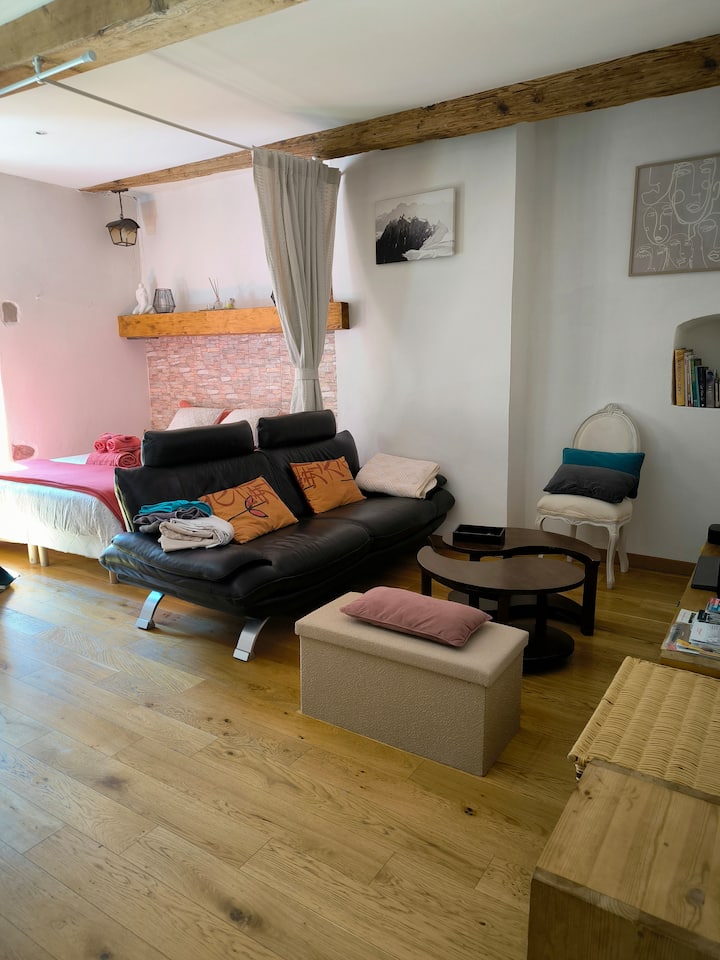 Le Balcon Des Remparts - Annecy-le-Vieux