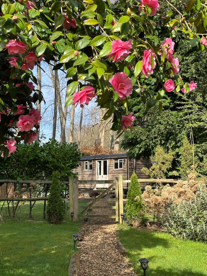 Little Lodge: Shepherds Hut With Hot Tub & Sauna - Epsom
