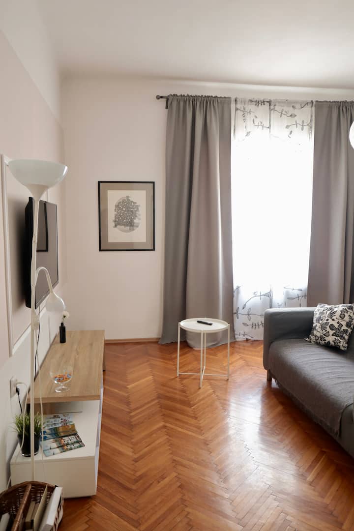 City Center Apartment- Free Parking - Zagreb