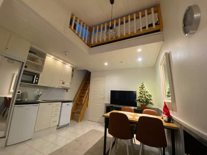 Levi City Center Apartment, Sauna, Free Parking - Sirkka