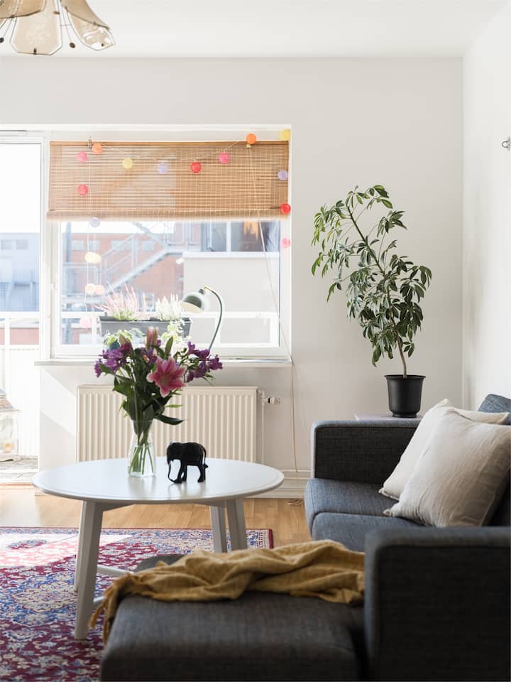 Cozy Apartment In Malmö Södra Sofielund. - Malmö