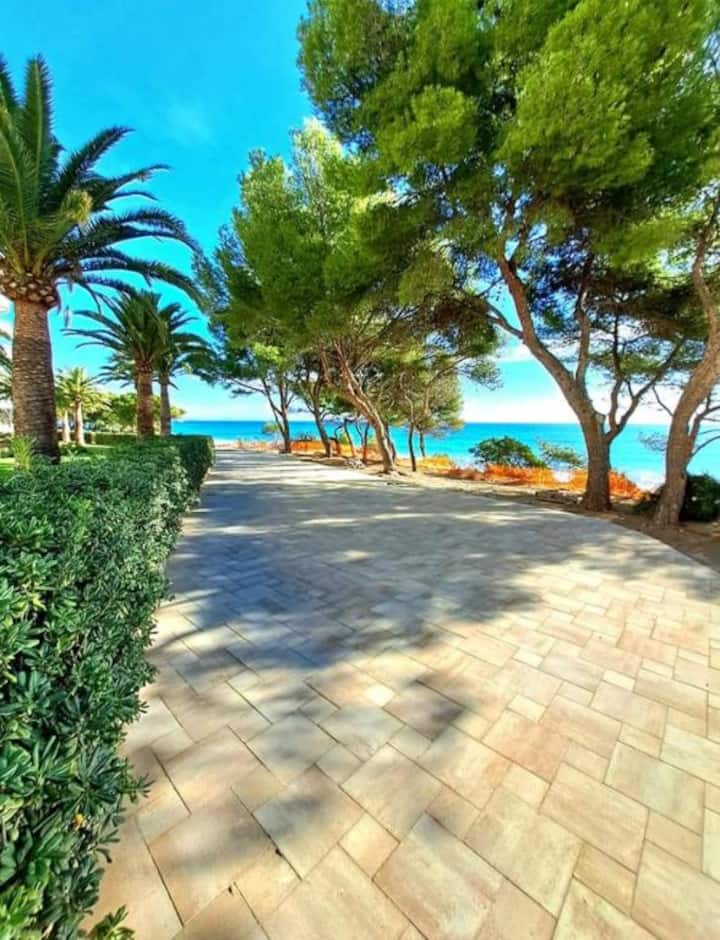 Criques Et Coeur De Miami - Miami Platja
