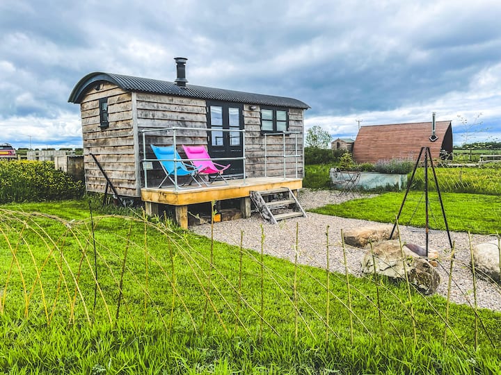 Cosy En-suite Shepherds Hut - Northumberland