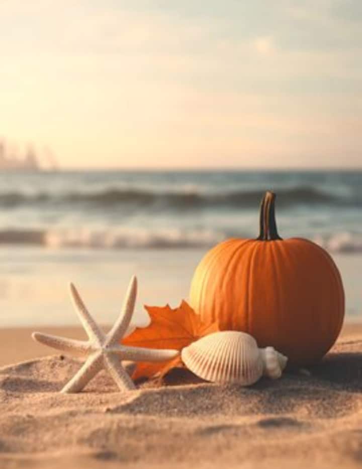 Downtown*walkable*oceanfront*stylish*secure* - Rosarito