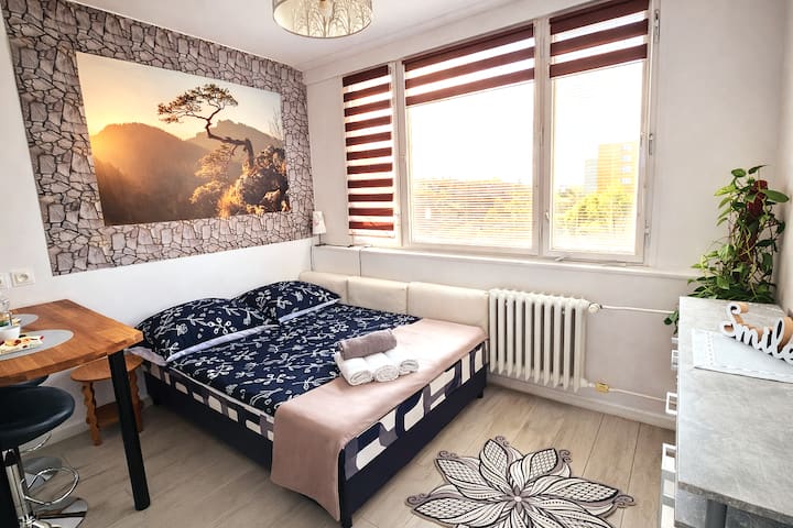 Nový Byteček U řEky–blízko Centra A Radnice - Bohumín