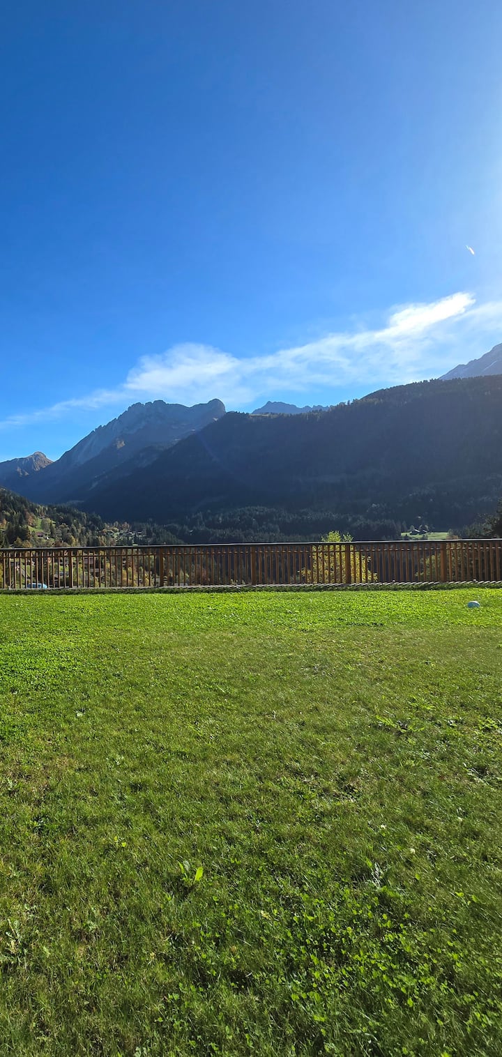 Gryon / Villars Appart Neuf 2 Chambres à Louer - Gryon