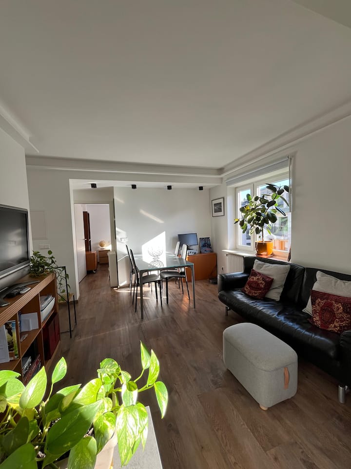 Petrusse Park - Quiet And Bright 1br Apartment - Luxemburg