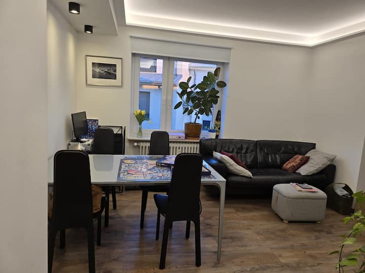 Petrusse Park - Quiet And Bright 1br Apartment - Luxembourg