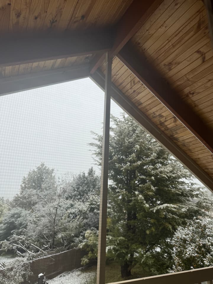 Stag Horn  - Mt Buller  Views - Sleeps 12 - Mount Buller