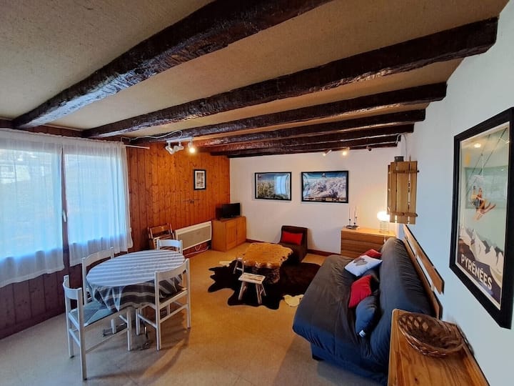 Appartement Pied Des Pistes - Pic du Midi