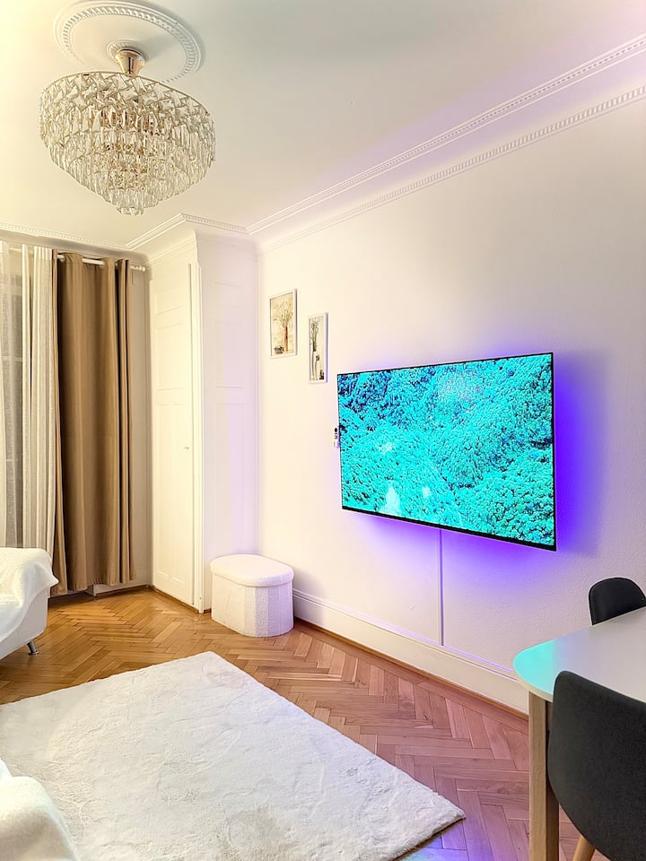 Spacious Appartement In The Center - Genève