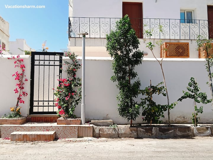 Hadaba, Sharm El Sheikh, Egypt, Area Snorkelling&d - Sharm El-Sheikh