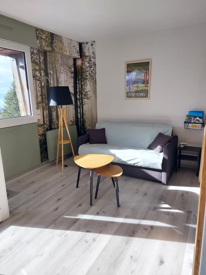 Douillet Studio Superbe Vue 180° Sur Les Montagnes - Font-Romeu-Odeillo-Via