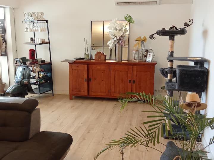 Appartement Climatisé, Animaux Acceptés. - Ajaccio