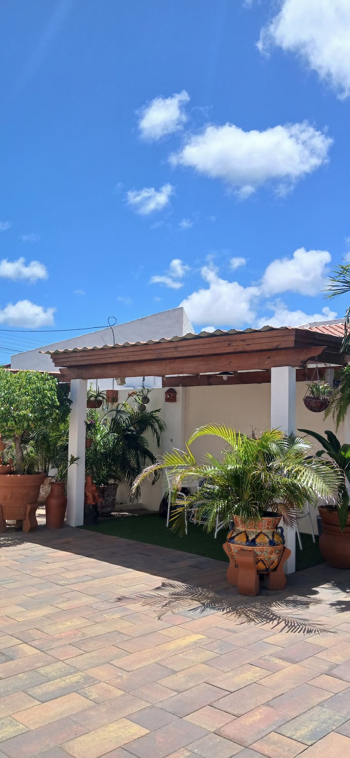 Casa Orquidea #2
Minutes From Eagle And Palm Beach - Aruba