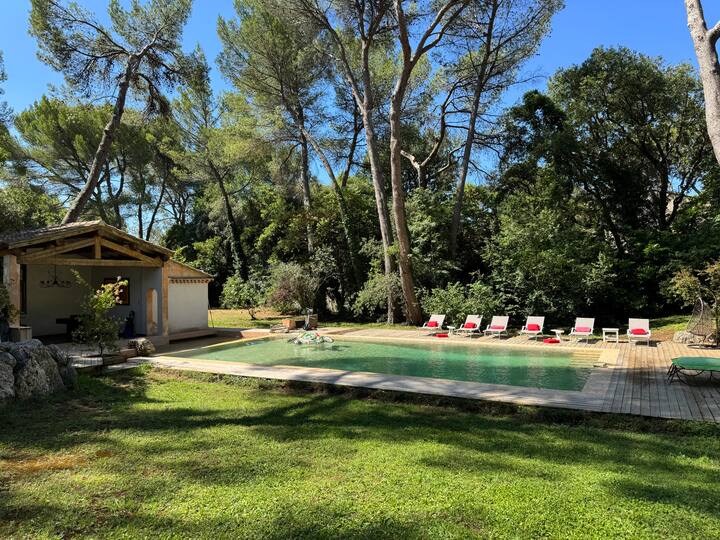 Villa Provençale De Prestige – Au Pied Du Ventoux - Mont Ventoux