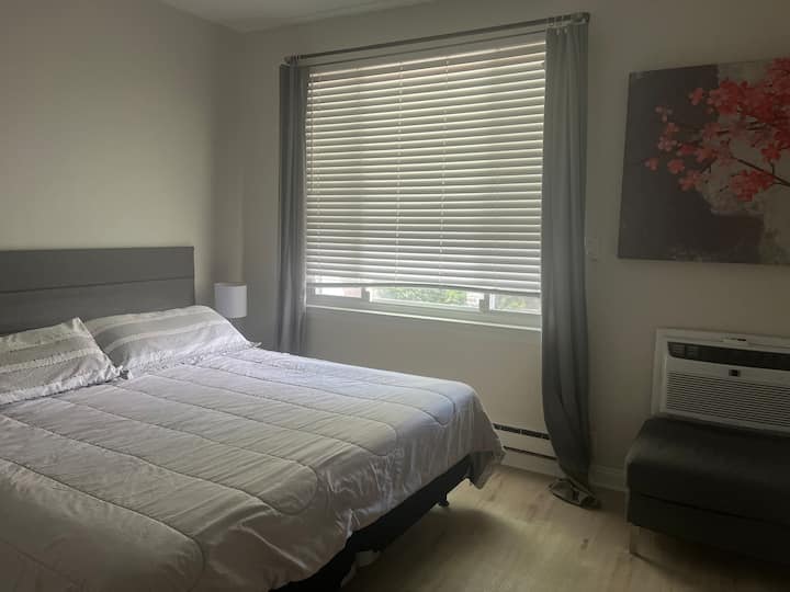 Spacious Guestroom  W/private Entrance,bath, Patio - 曼哈頓