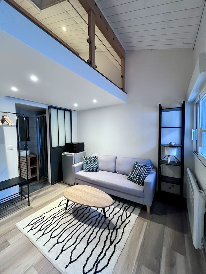 Joli Studio Indépendant Chez L’habitant - Bayonne