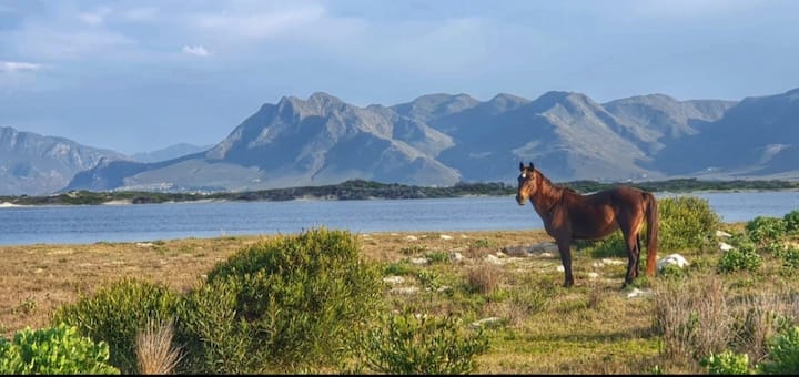 Beach Front Accomodation On The Botriver Lagoon - Fisherhaven