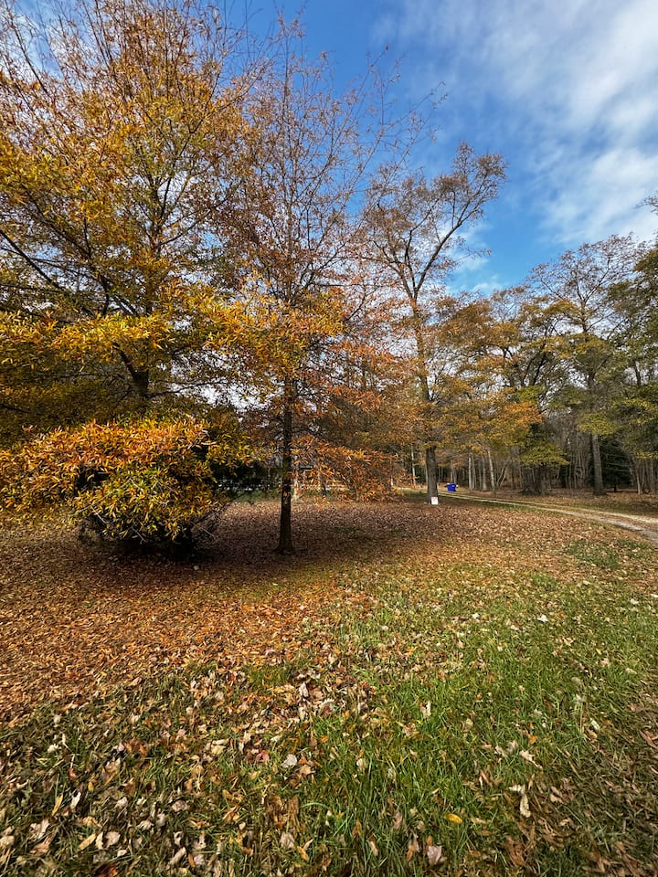 Peaceful Nature Home & Pond Near Shopping Center - Delaware