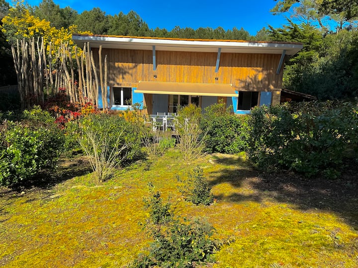 Villa Capferret À Pied Plages Oceanes - Cap Ferret