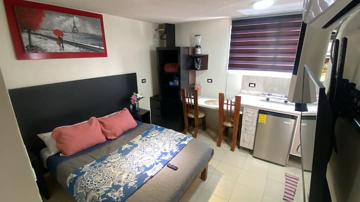 Estudio E, Acogedor, Equipado, Independiente - Mexiko-Stadt