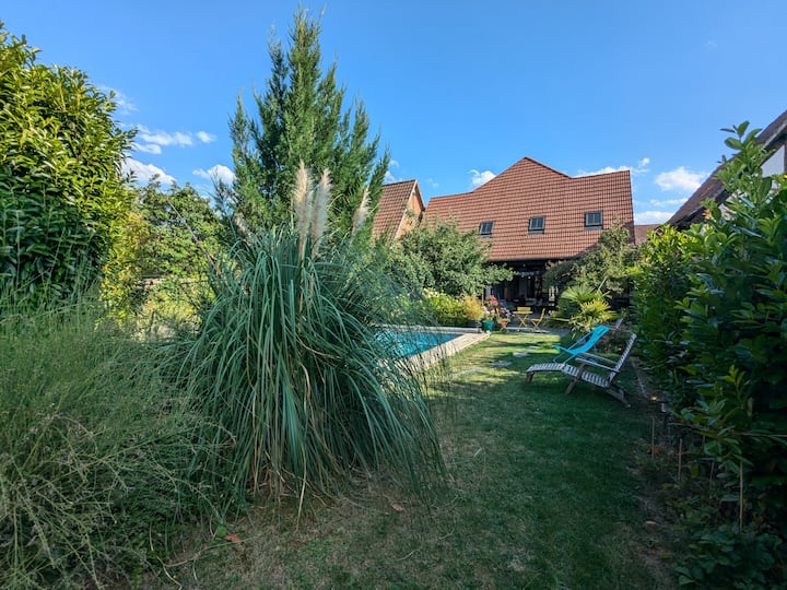 Spa & Piscine à 15 Min De Strasbourg - Strasbourg