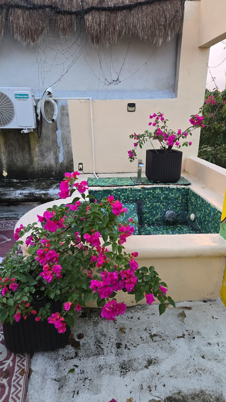 Private Roof Top Oasis With Jacuzzi - Cozumel