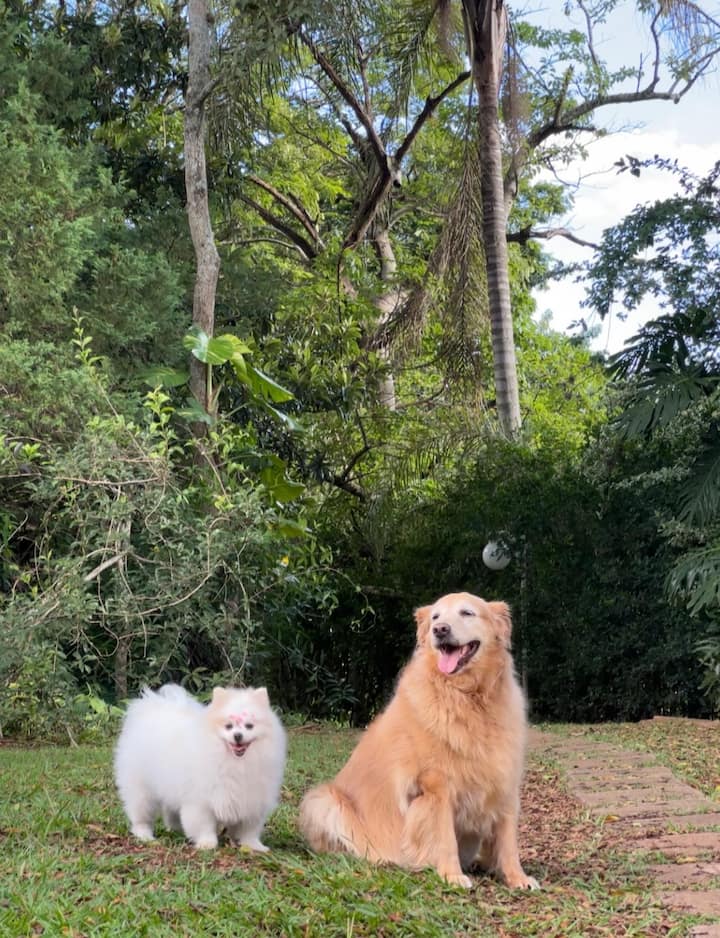 Chácara Socorro-sp - Socorro