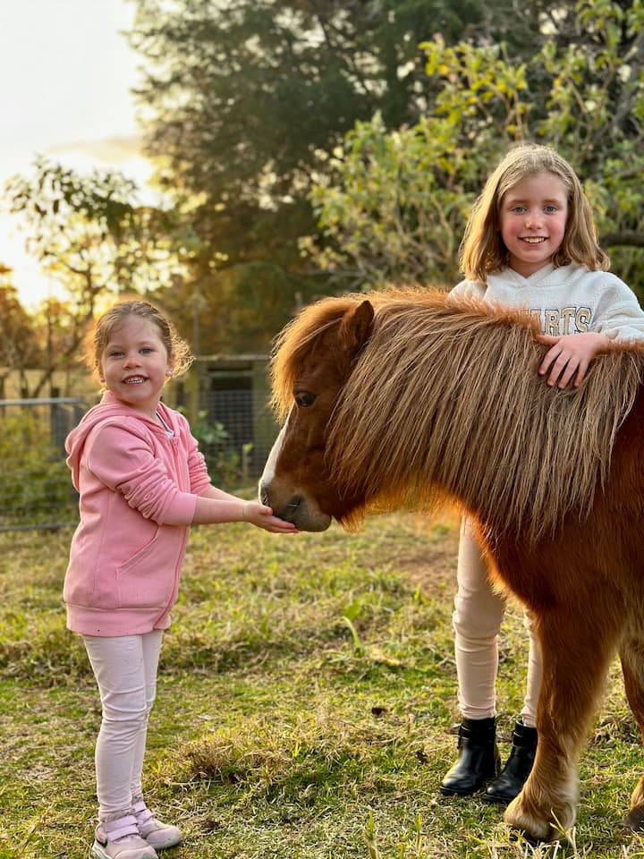100 Acres Of Mountain Paradise All To Yourself - South Coast