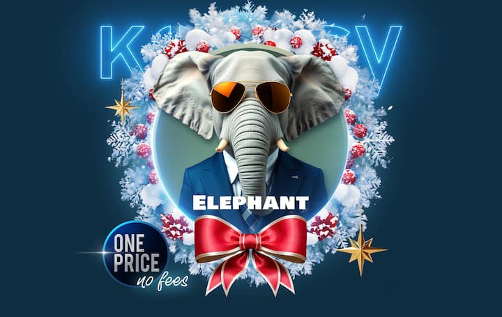 Elephant Apartment, 2 Rooms, City Center - Constanța