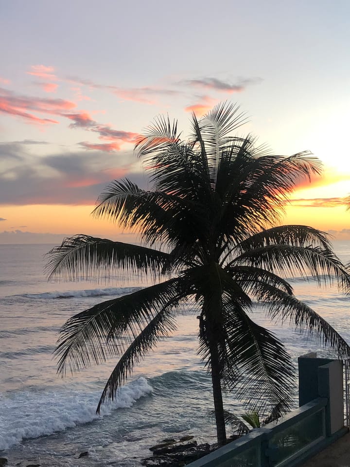 Oceanfront Paradise At Kikita's Beach, Dorado - Dorado