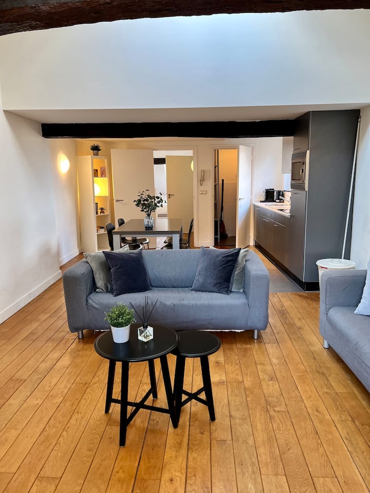 Two Floor Luxurious Appartment - Maastricht