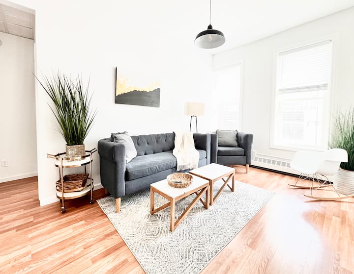 Newly Renovated Apt Near St Joseph's Hospital & 81 - Syracuse, NY