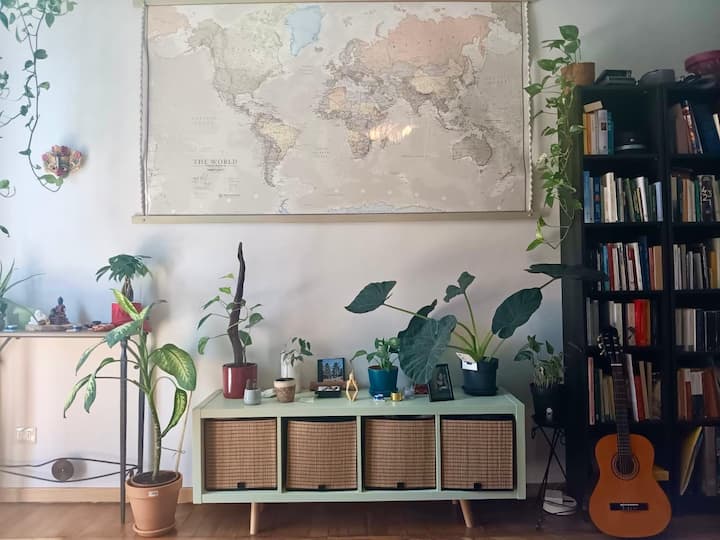 Appartamento Accogliente Con Piante E Colori - Turin