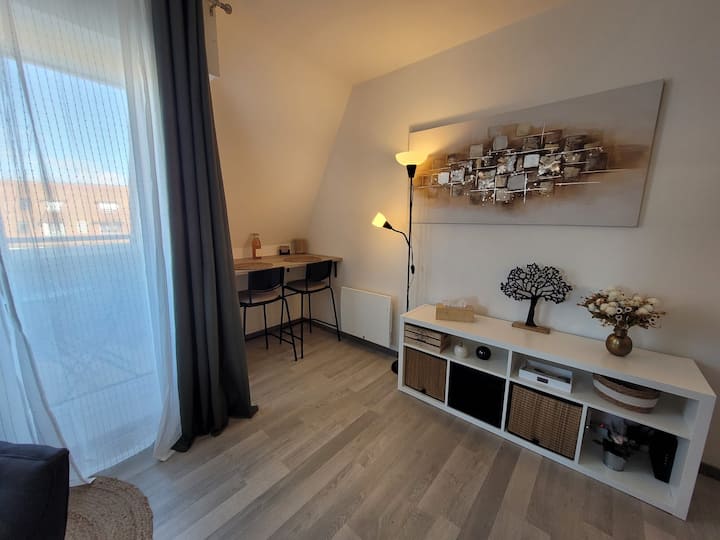 Charmant Grand Studio Refait à Neuf Avec Parking - Villers-sur-Mer