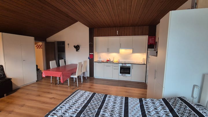 Mörlialp Rooftop Apartment/ Above Giswil - Giswil