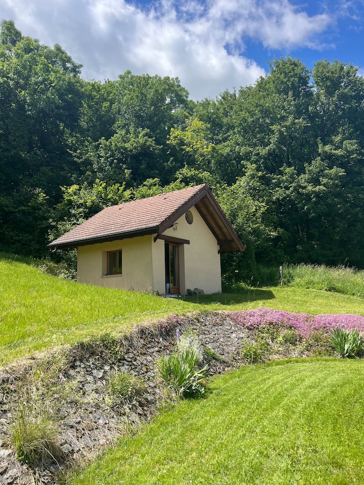 Petit Chalet Cosy Au Calme - Seyssel