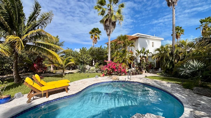 Leisure In Paradise - Steps From Beach, With Pool - Turks and Caicos Islands